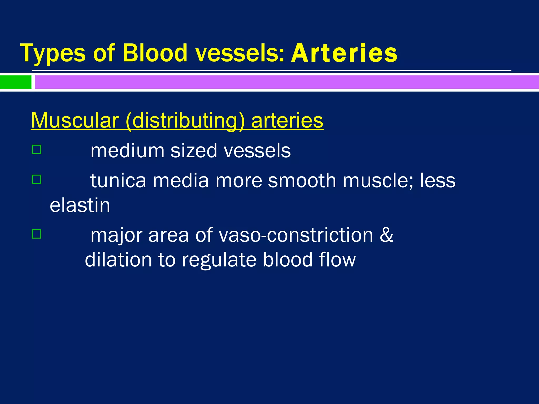 Blood vessels.2. | PPT