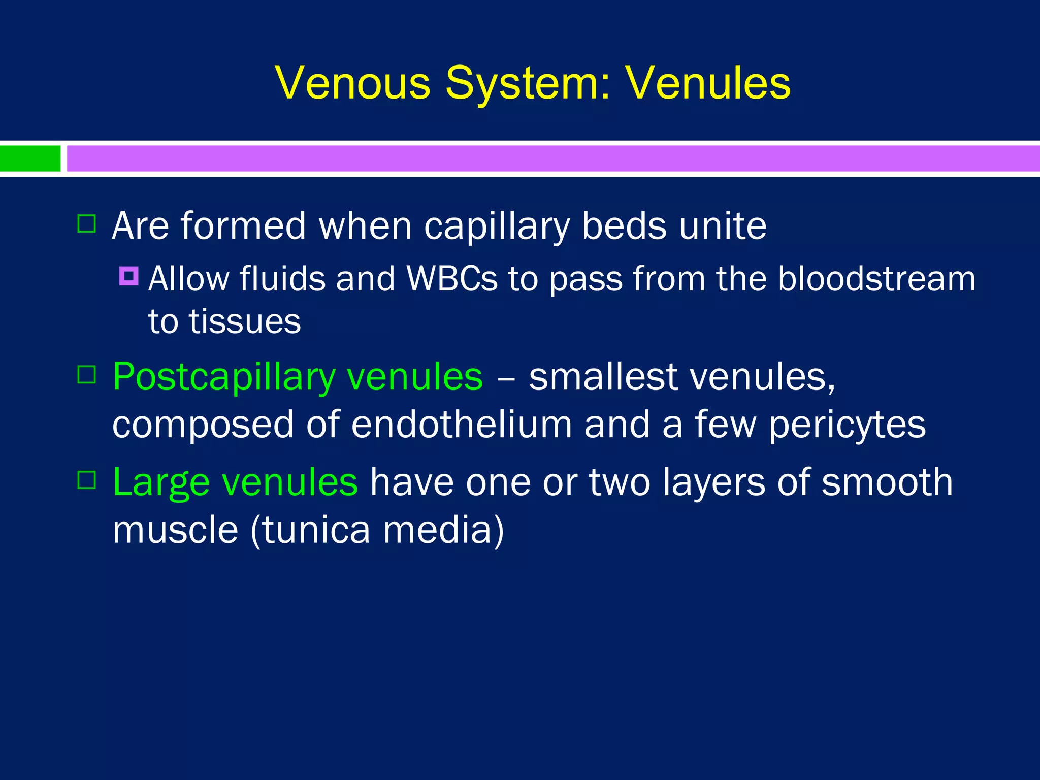 Blood vessels.2. | PPT