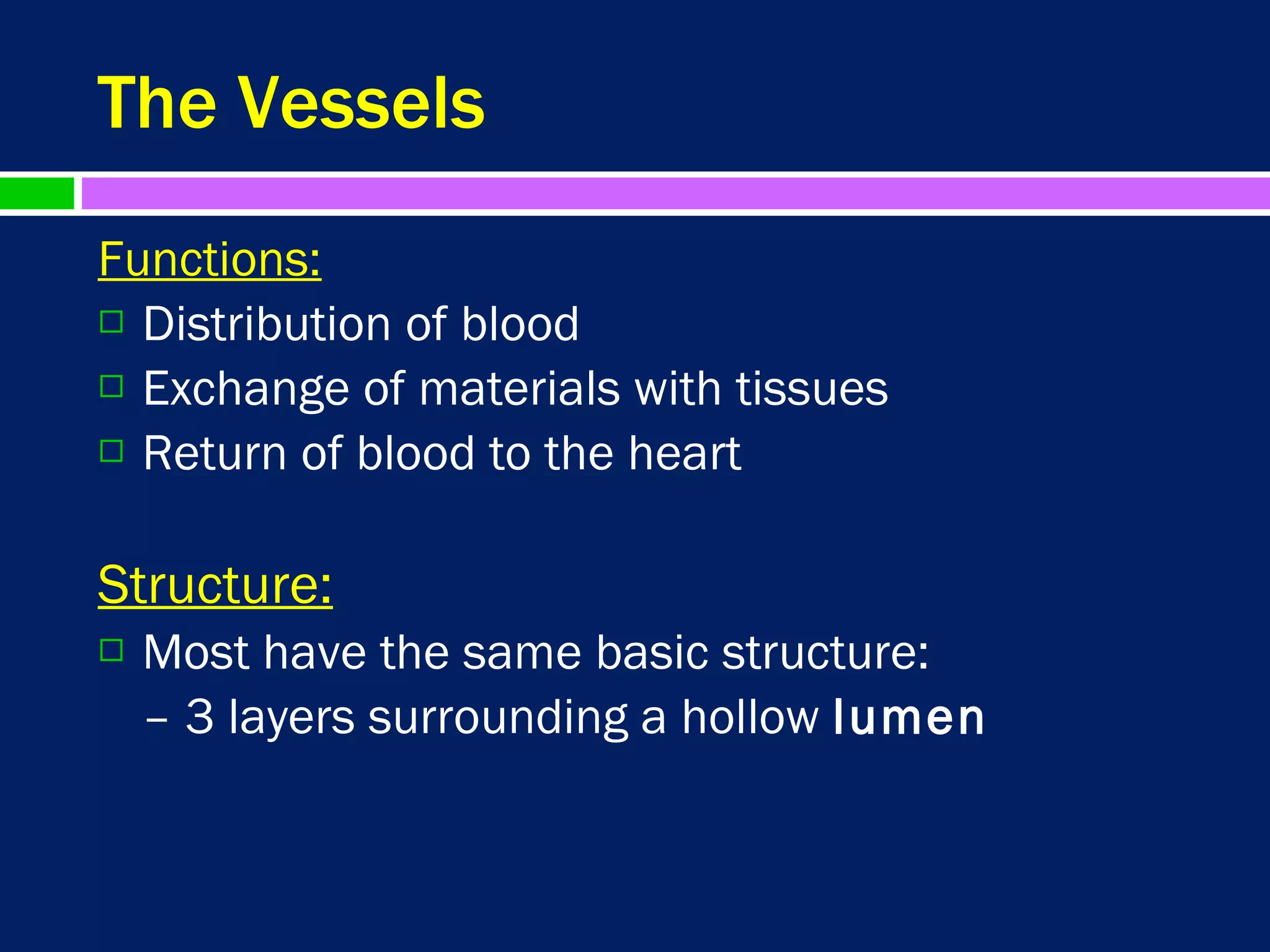 Blood vessels.2. | PPT