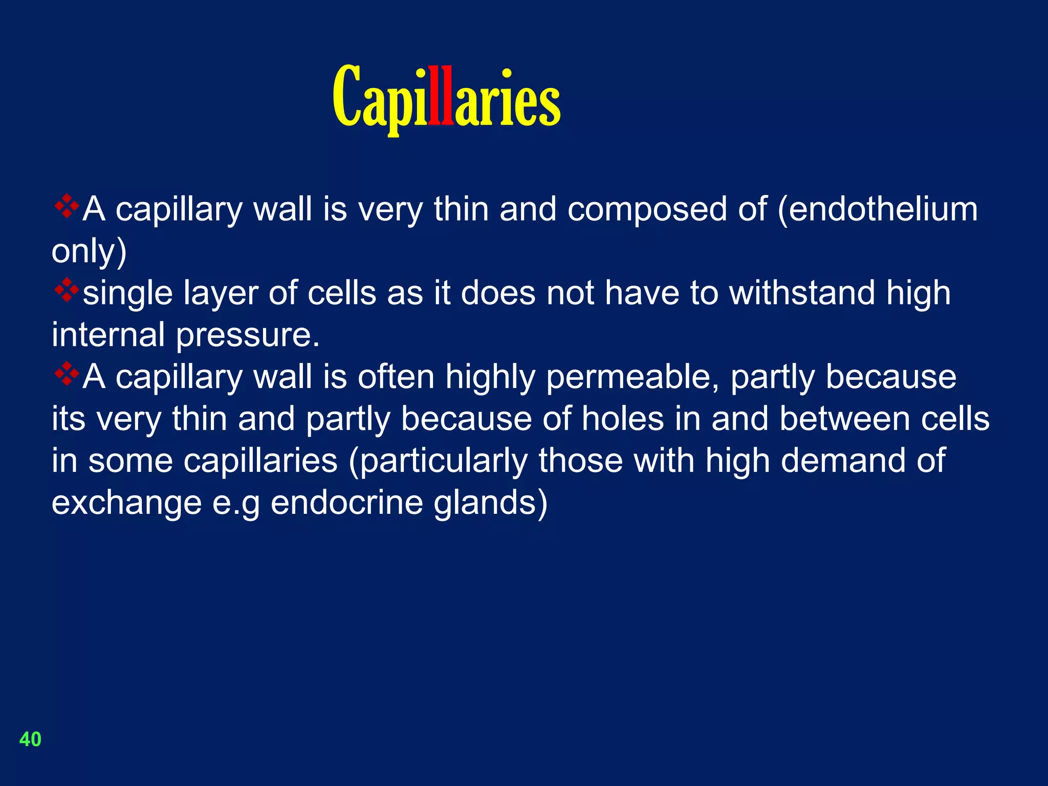 Blood vessels.2. | PPT