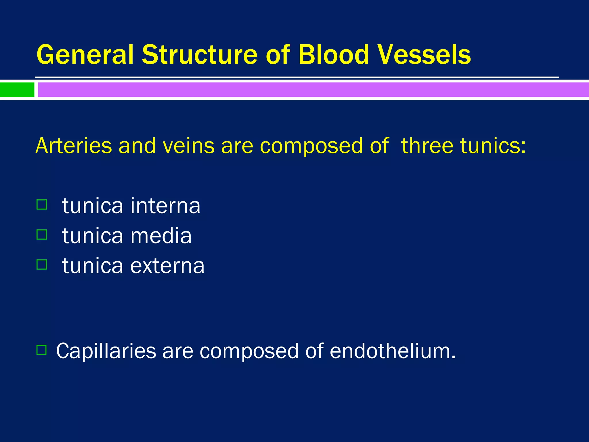 Blood vessels.2. | PPT