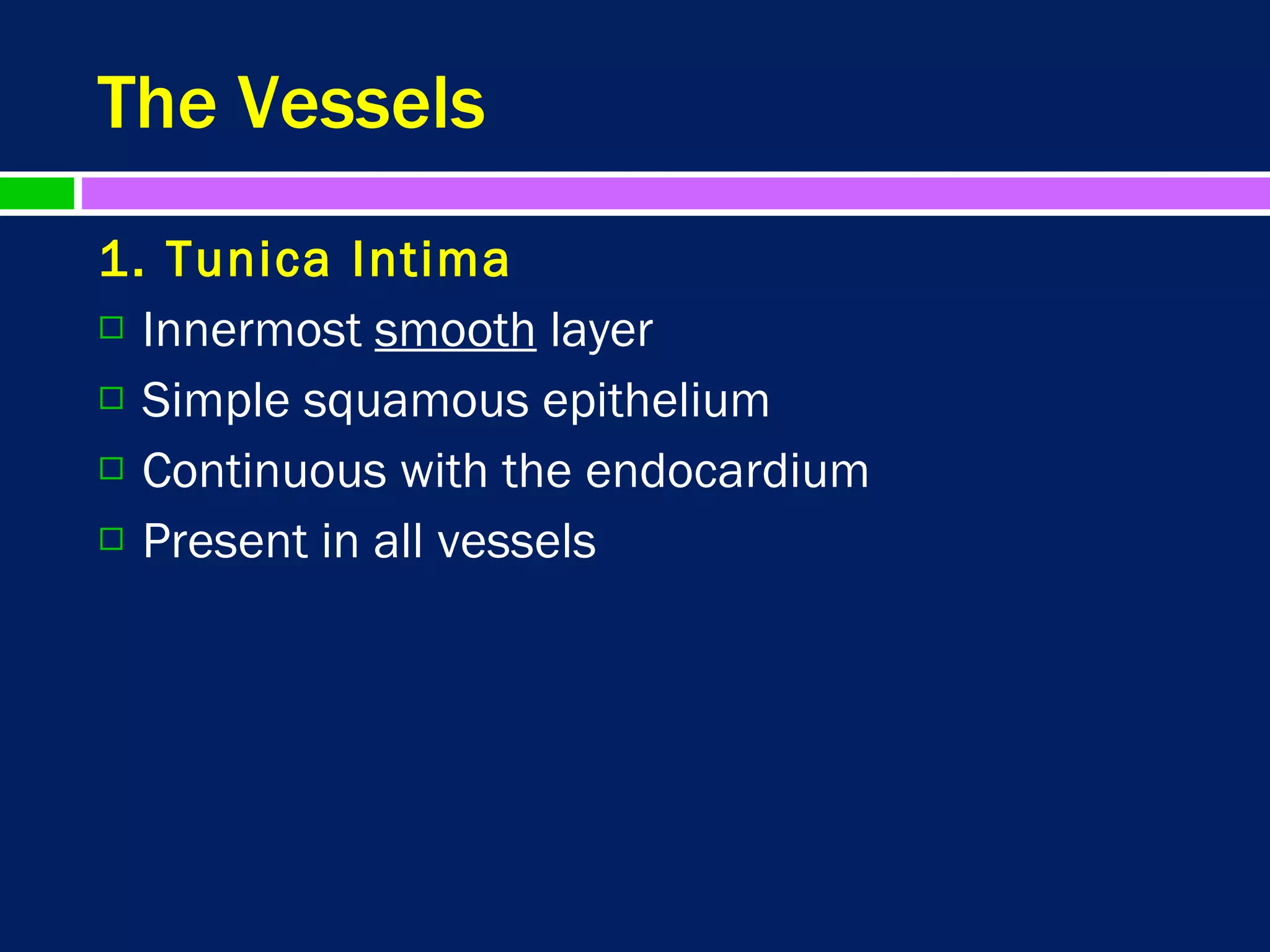 Blood vessels.2. | PPT