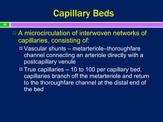 Blood vessels.2. | PPT
