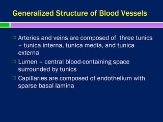 Blood vessels.2. | PPT