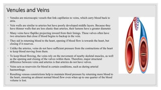 Blood Vessels | PPTX