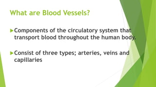 Blood Vessels.pptx