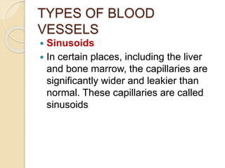 BLOOD VESSELS.pptx