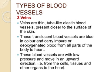 BLOOD VESSELS.pptx