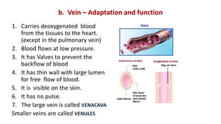BLOOD VESSELS FOR YEAR EIGHT AND ABOVE.pptx