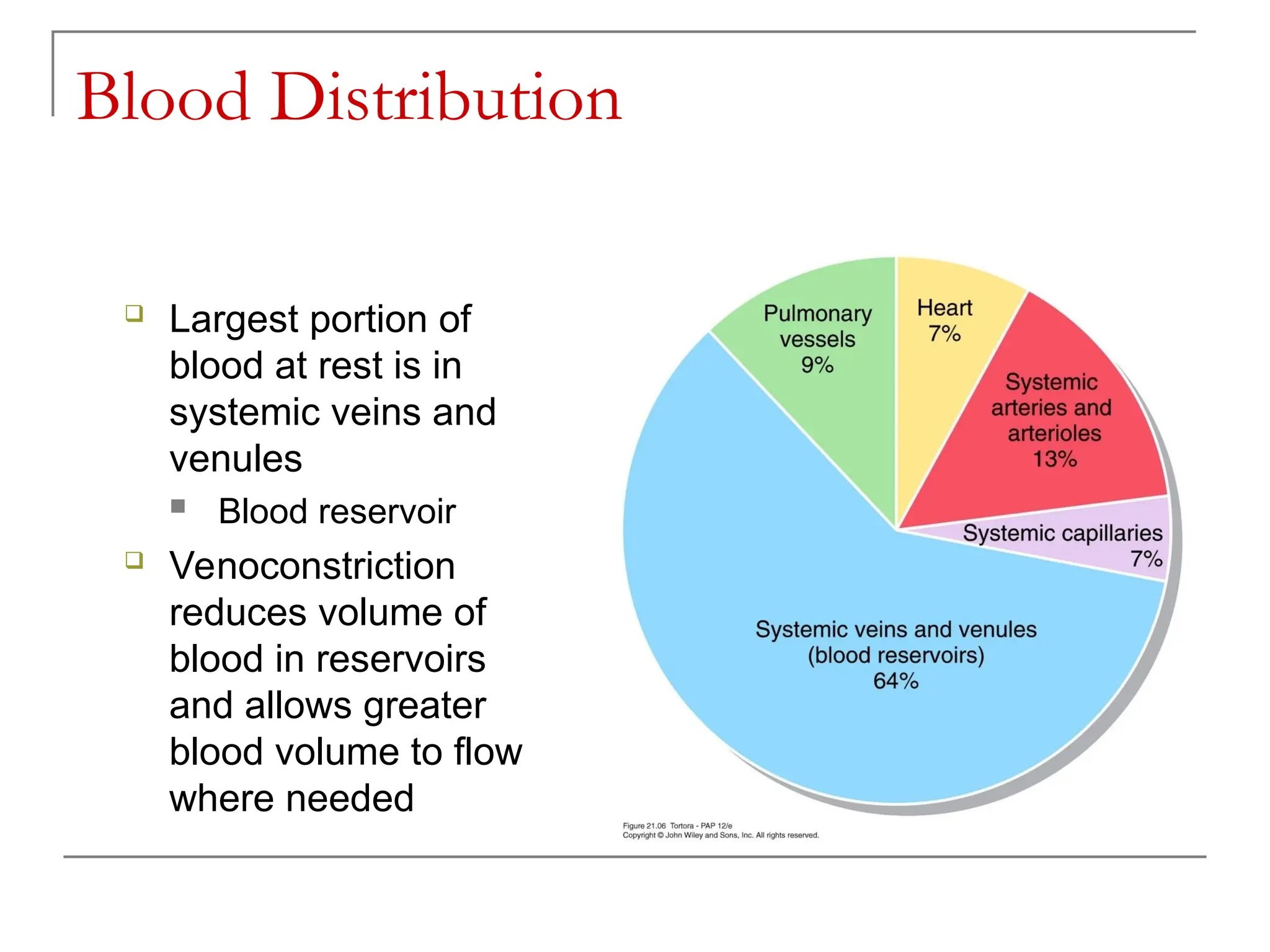Blood Vessels, structure of arteries , veins and capillaries | PPT