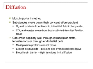 Blood Vessels, structure of arteries , veins and capillaries | PPT