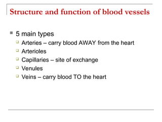 Blood Vessels, structure of arteries , veins and capillaries | PPT