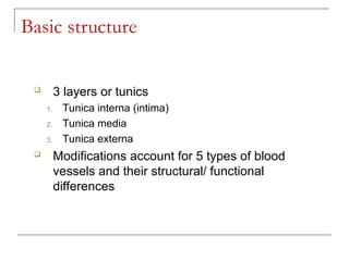 Blood Vessels, structure of arteries , veins and capillaries | PPT