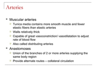 Blood Vessels, structure of arteries , veins and capillaries | PPT