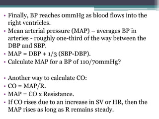 Blood vessels physiology | PPTX