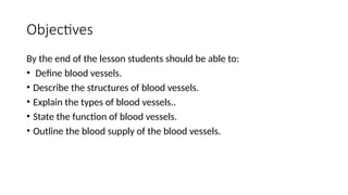 Comprehensive Overview of Blood Vessels: Structure, Types, and ...