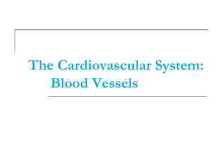 Blood Vessels (1).ppt