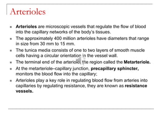 Blood Vessels (1).ppt