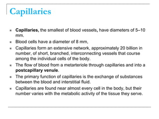 Blood Vessels (1).ppt