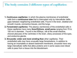 Blood Vessels (1).ppt