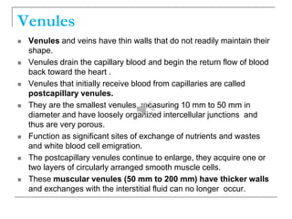 Blood Vessels (1).ppt