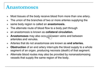 Blood Vessels (1).ppt