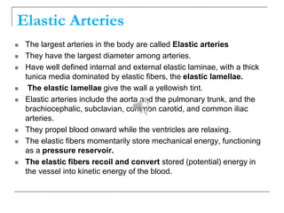 Blood Vessels (1).ppt