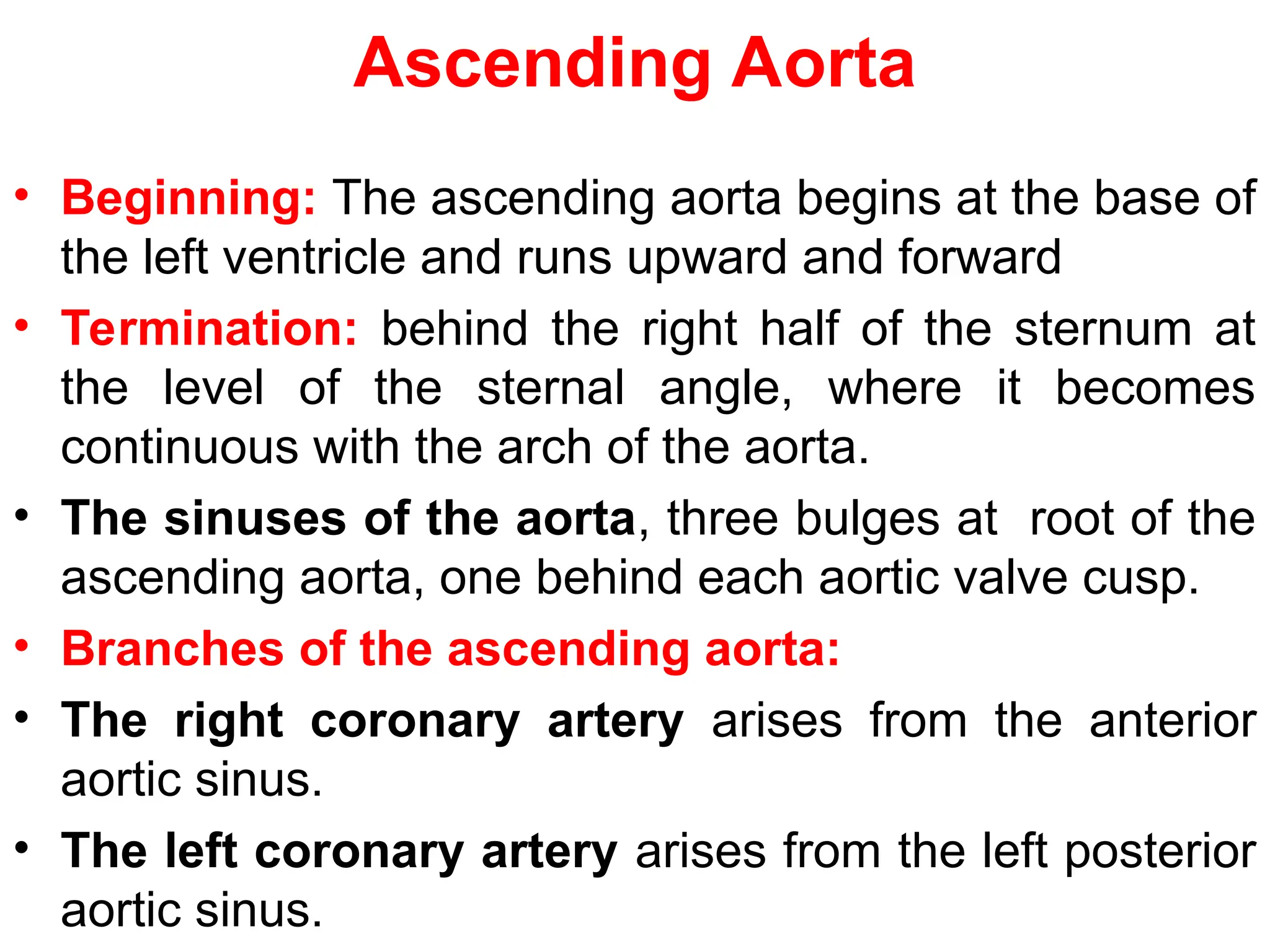 Blood Vessels11.ppt mukesh presentation hub | PPT