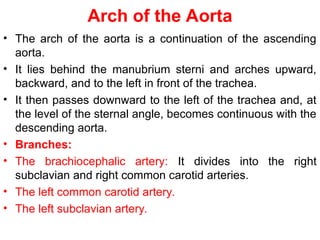 Blood Vessels11.ppt mukesh presentation hub | PPT