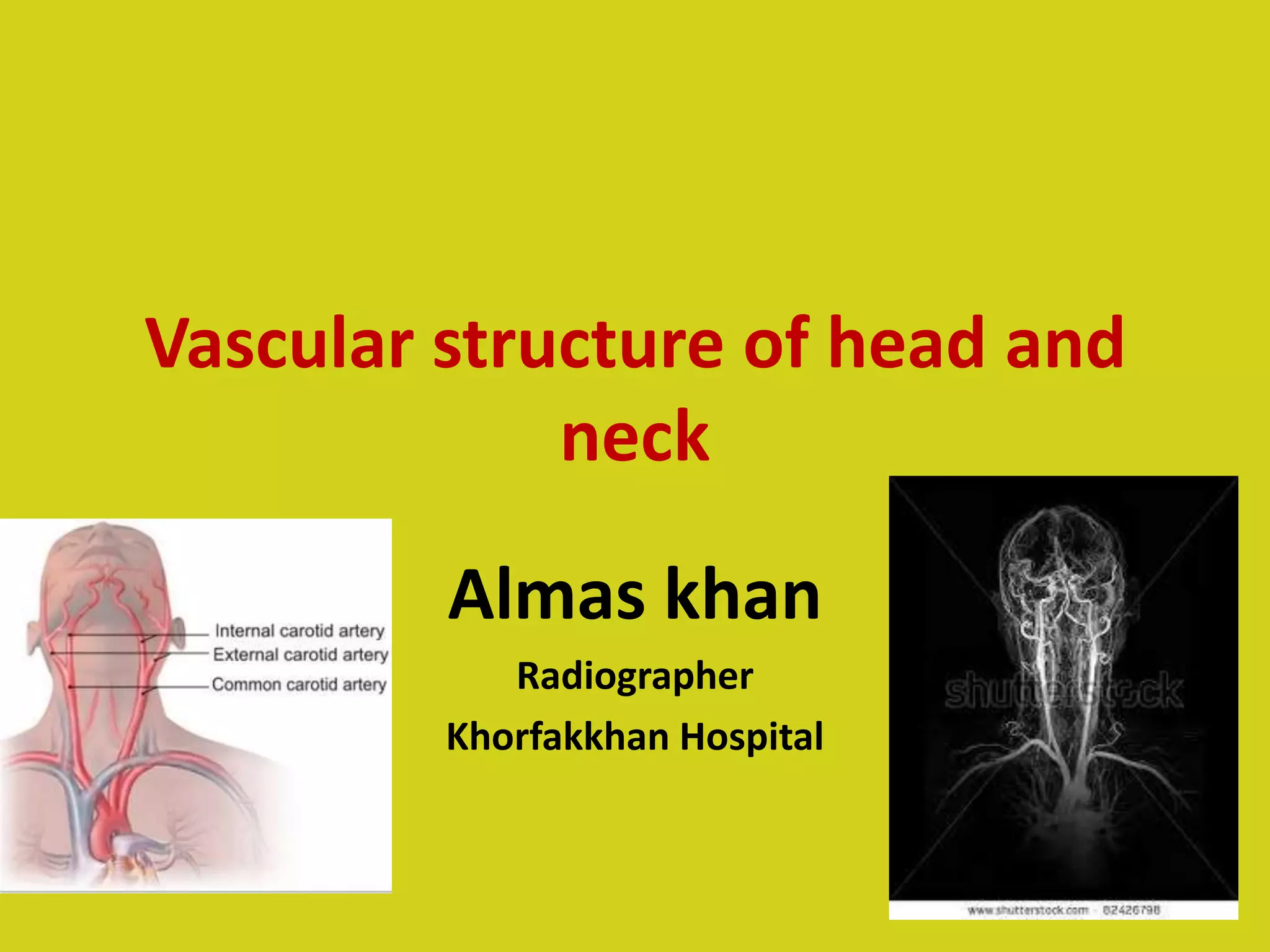Vascular structure head and neck Almas khan , Khorfakkhan hospital | PPT