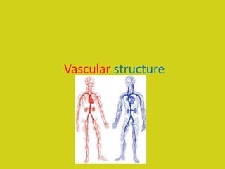 Vascular structure head and neck Almas khan , Khorfakkhan hospital | PPTX