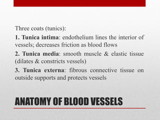 Blood vessels and circulation | PDF