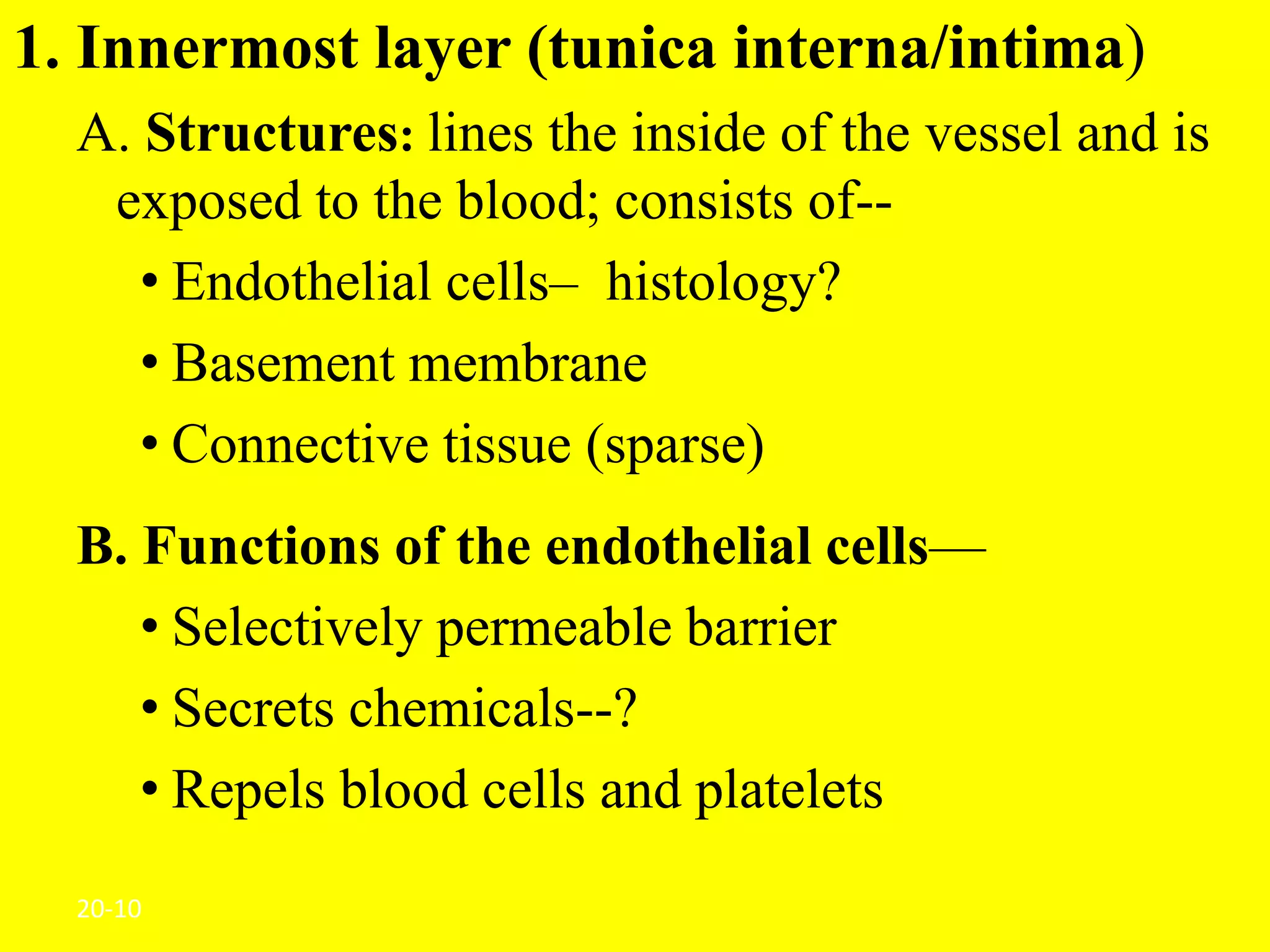 Blood vessels and circulatory system | PPTX