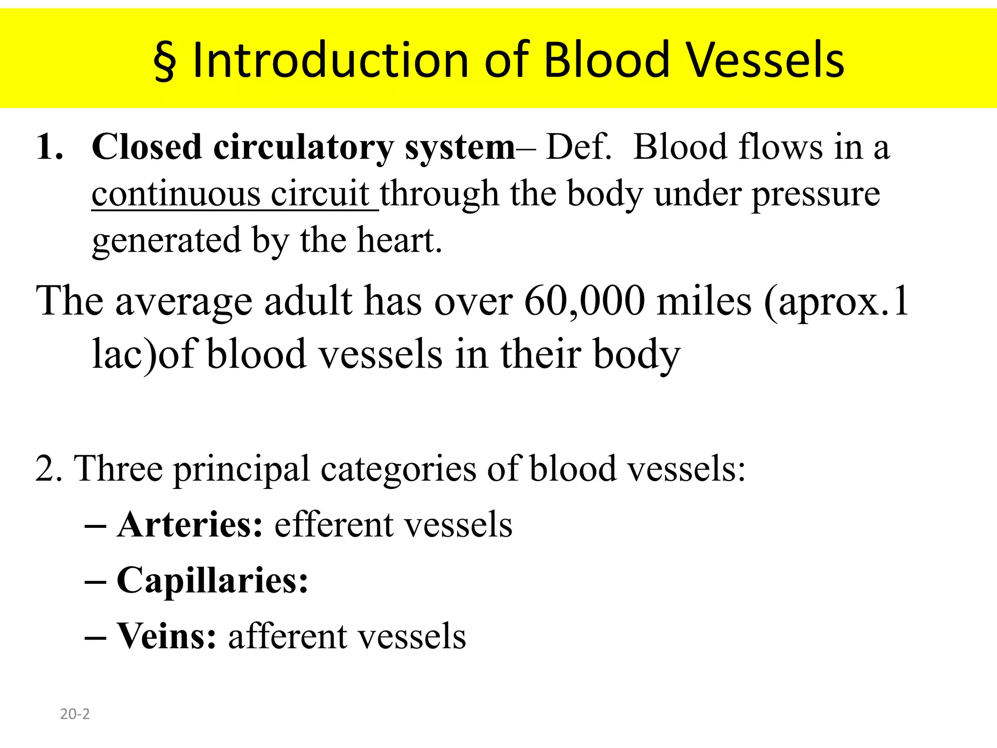 Blood vessels and circulatory system | PPTX