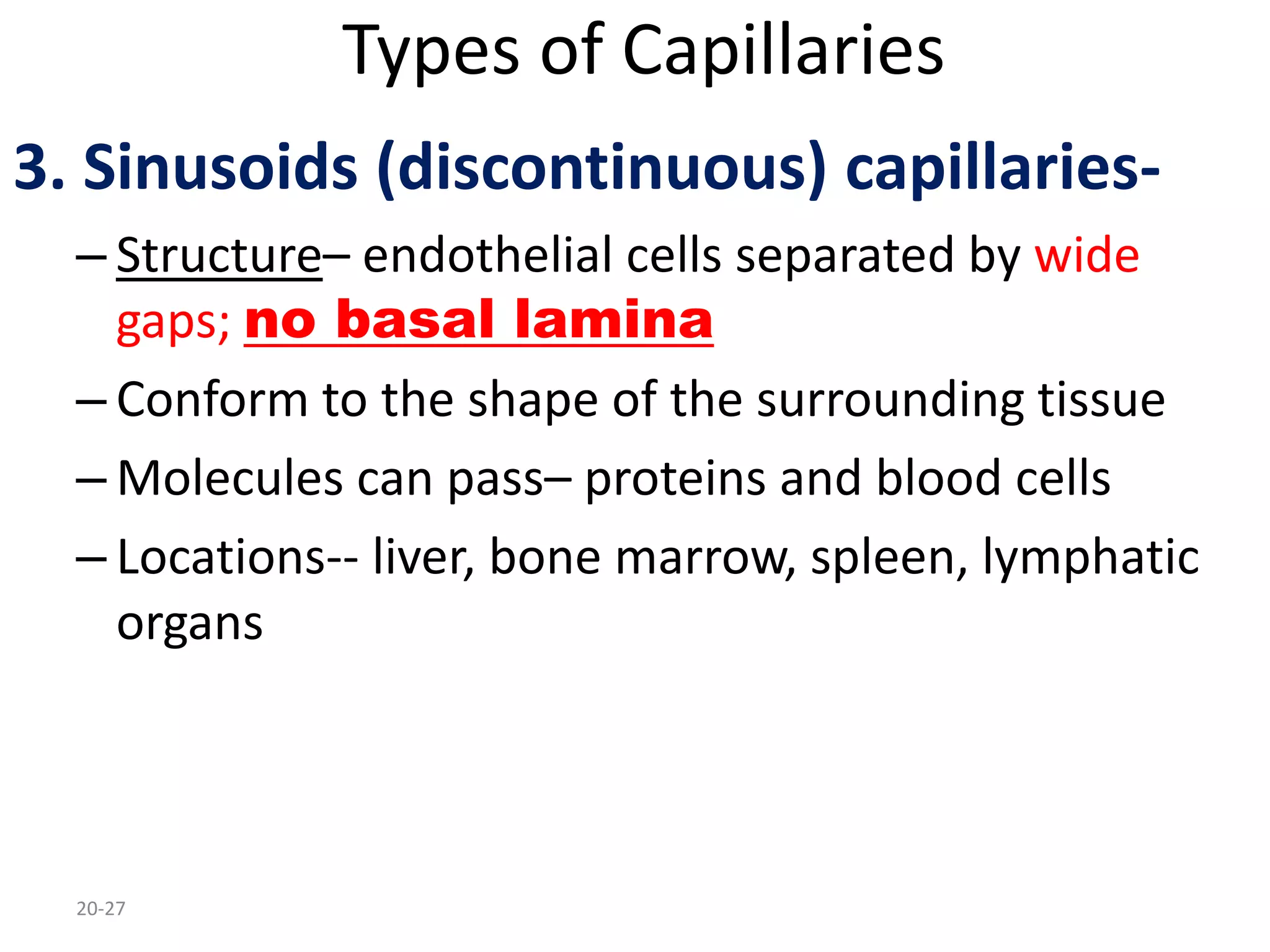 Blood vessels and circulatory system | PPTX