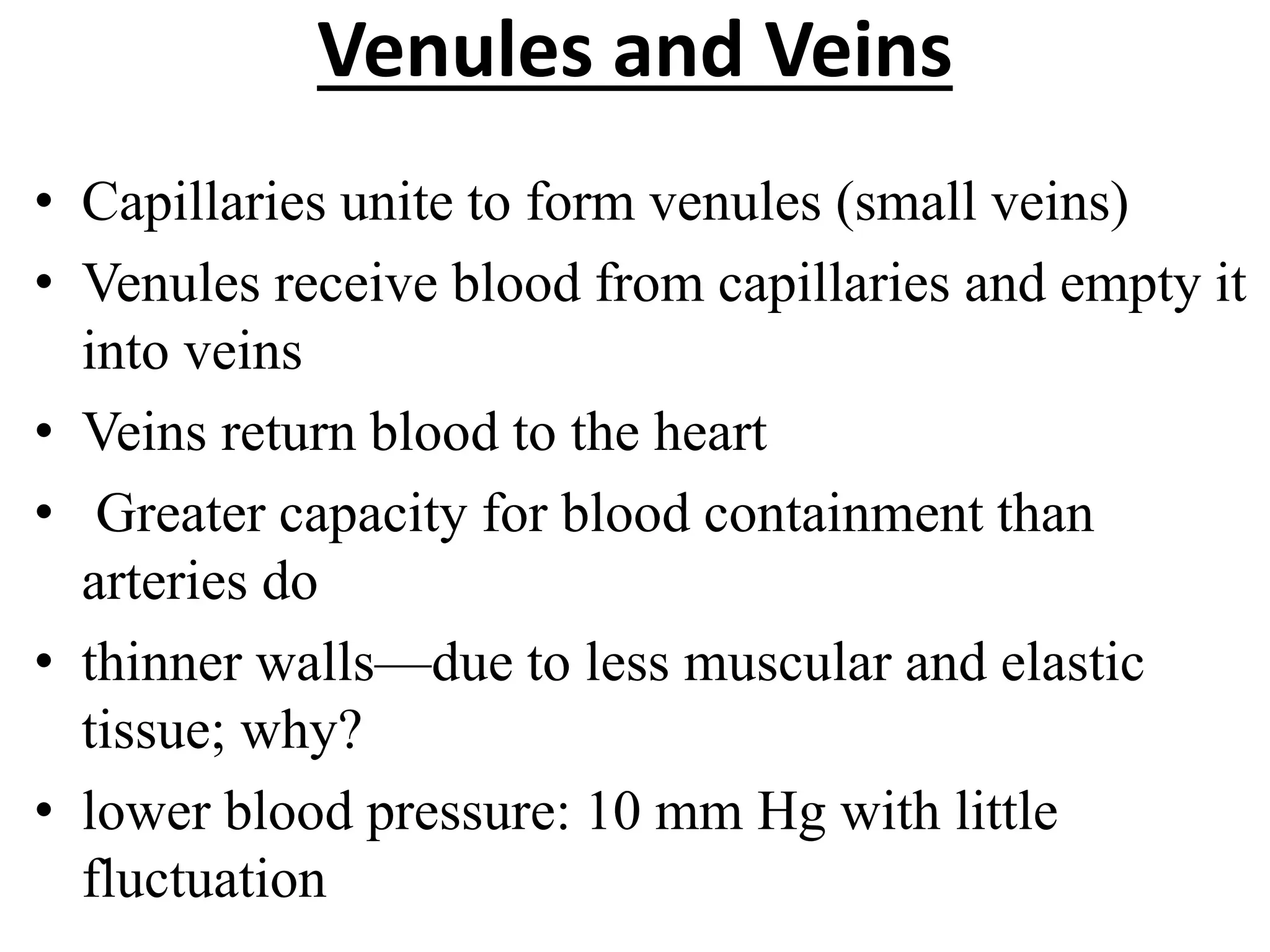Blood vessels and circulatory system | PPTX