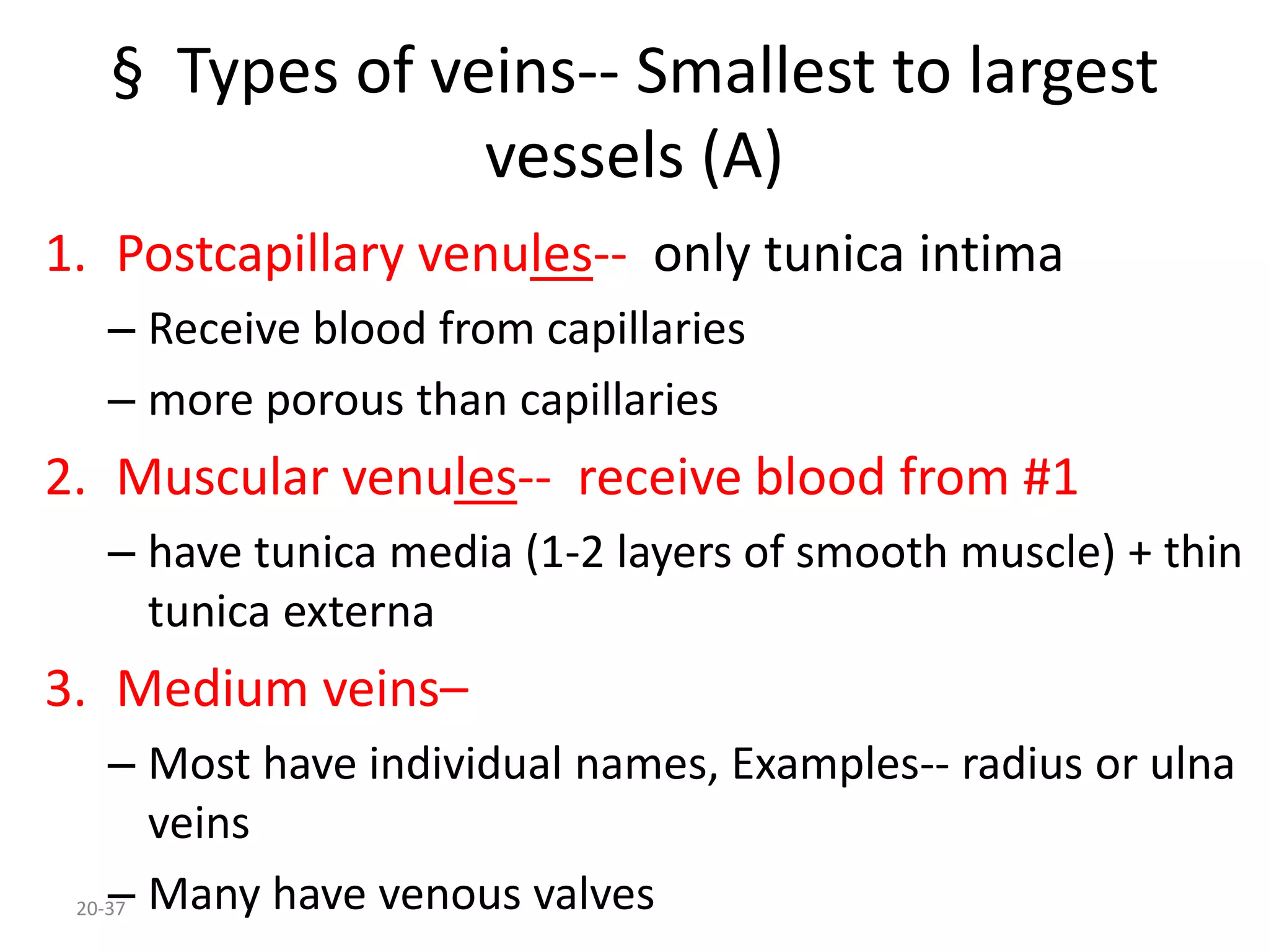 Blood vessels and circulatory system | PPTX