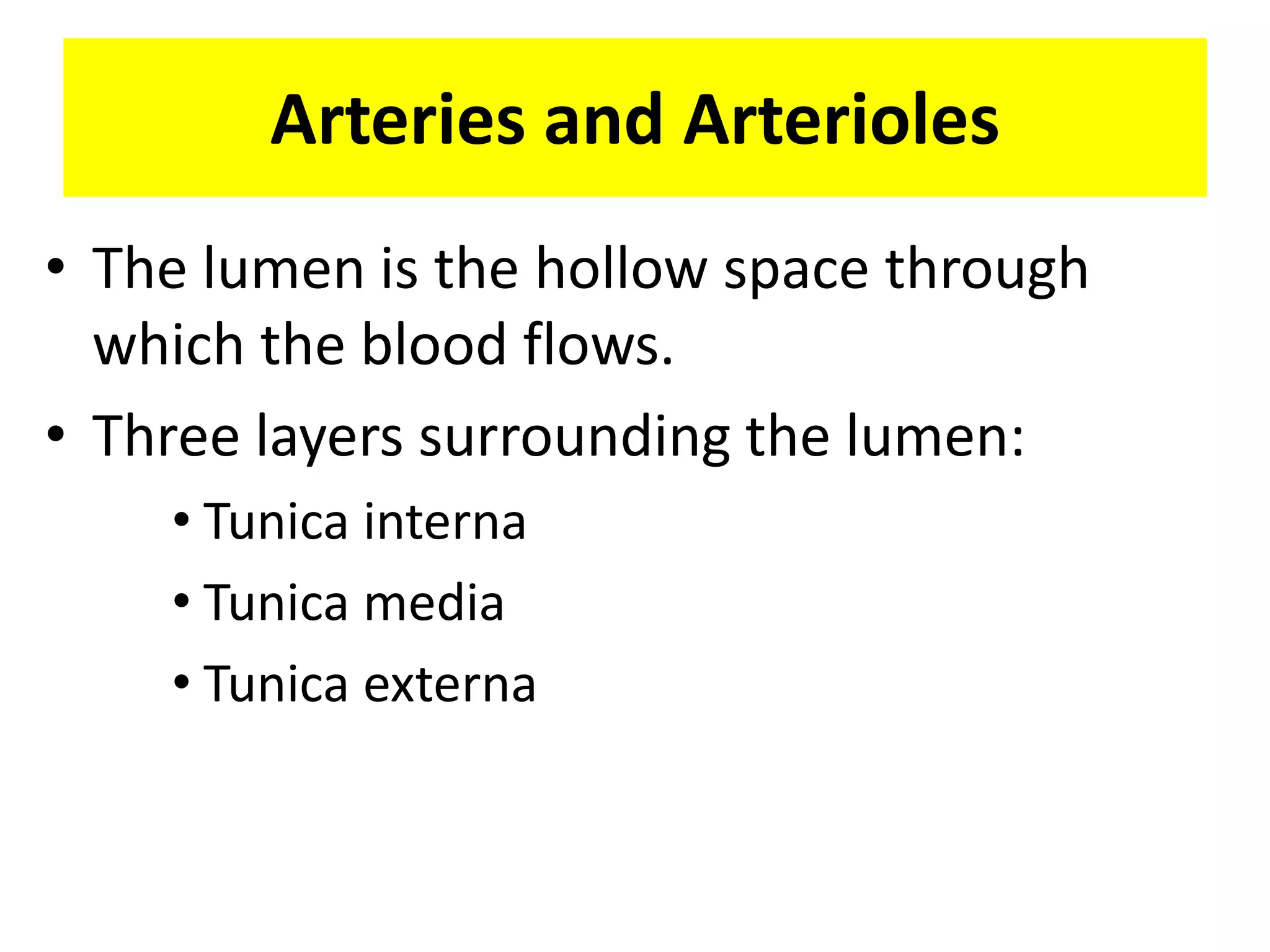 Blood vessels and circulatory system | PPTX