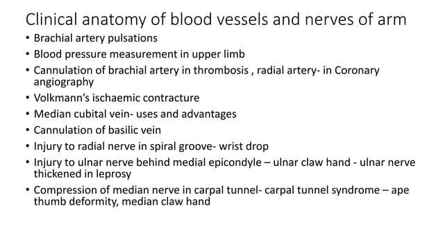 Important Blood vessels and nerves of arm.pptx