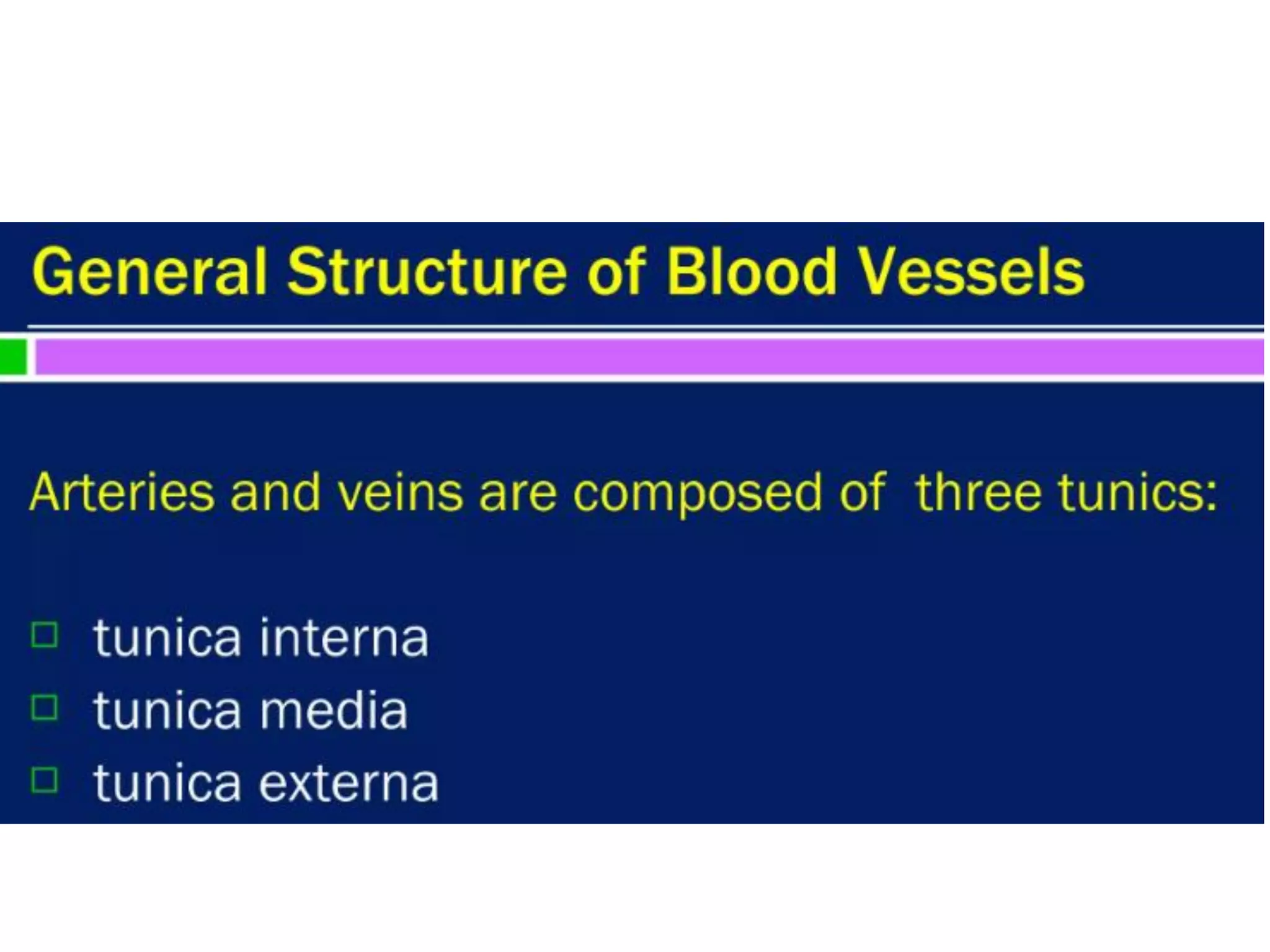 BLOOD VESSELS ( artery- large &medium size.pdf