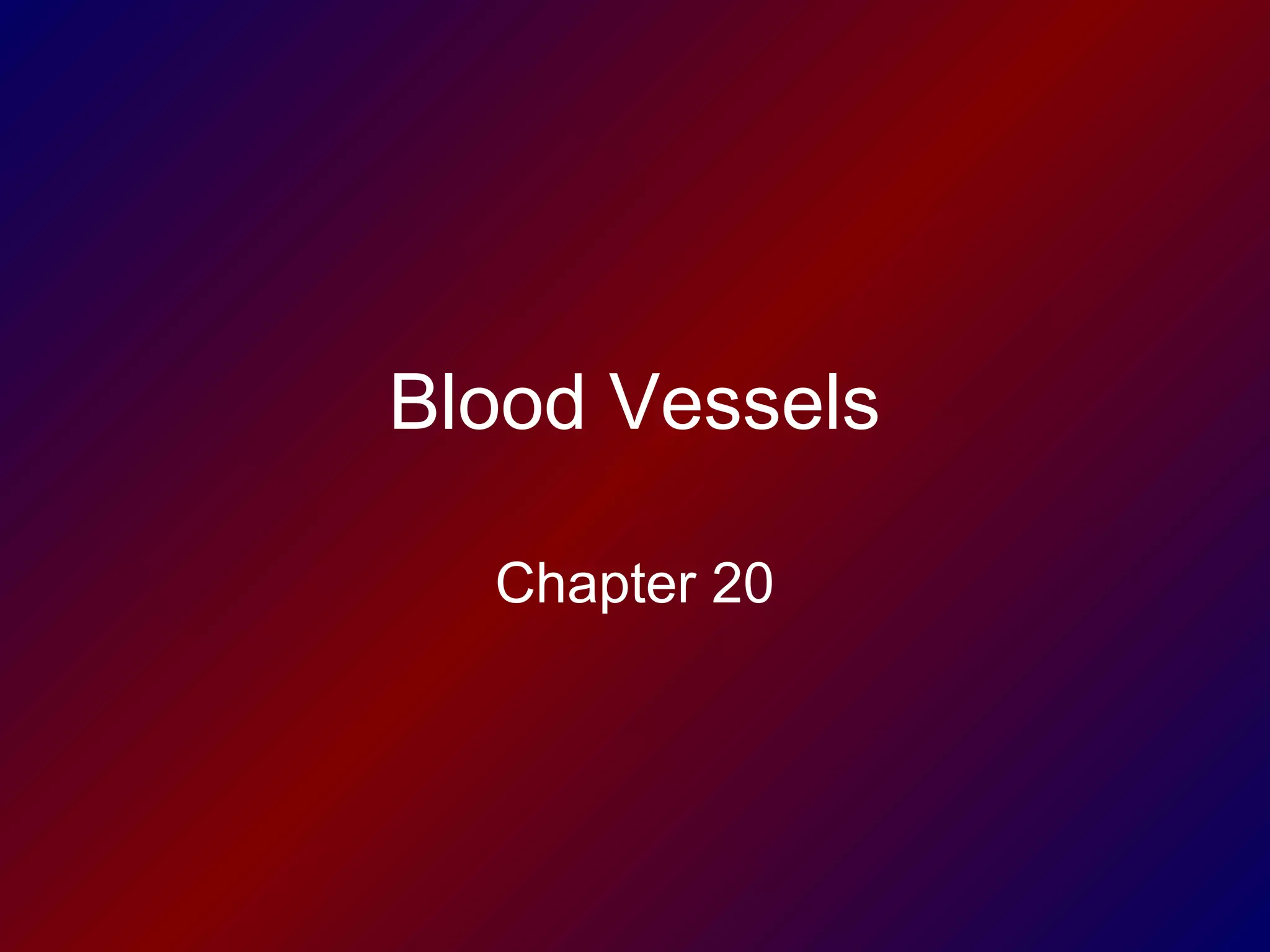 Chapter 20 | PPT