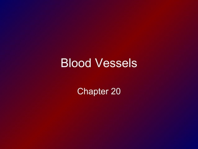 Chapter 20 | PPT