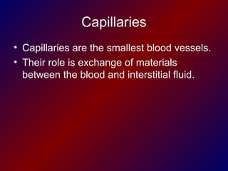 Chapter 20 | PPT