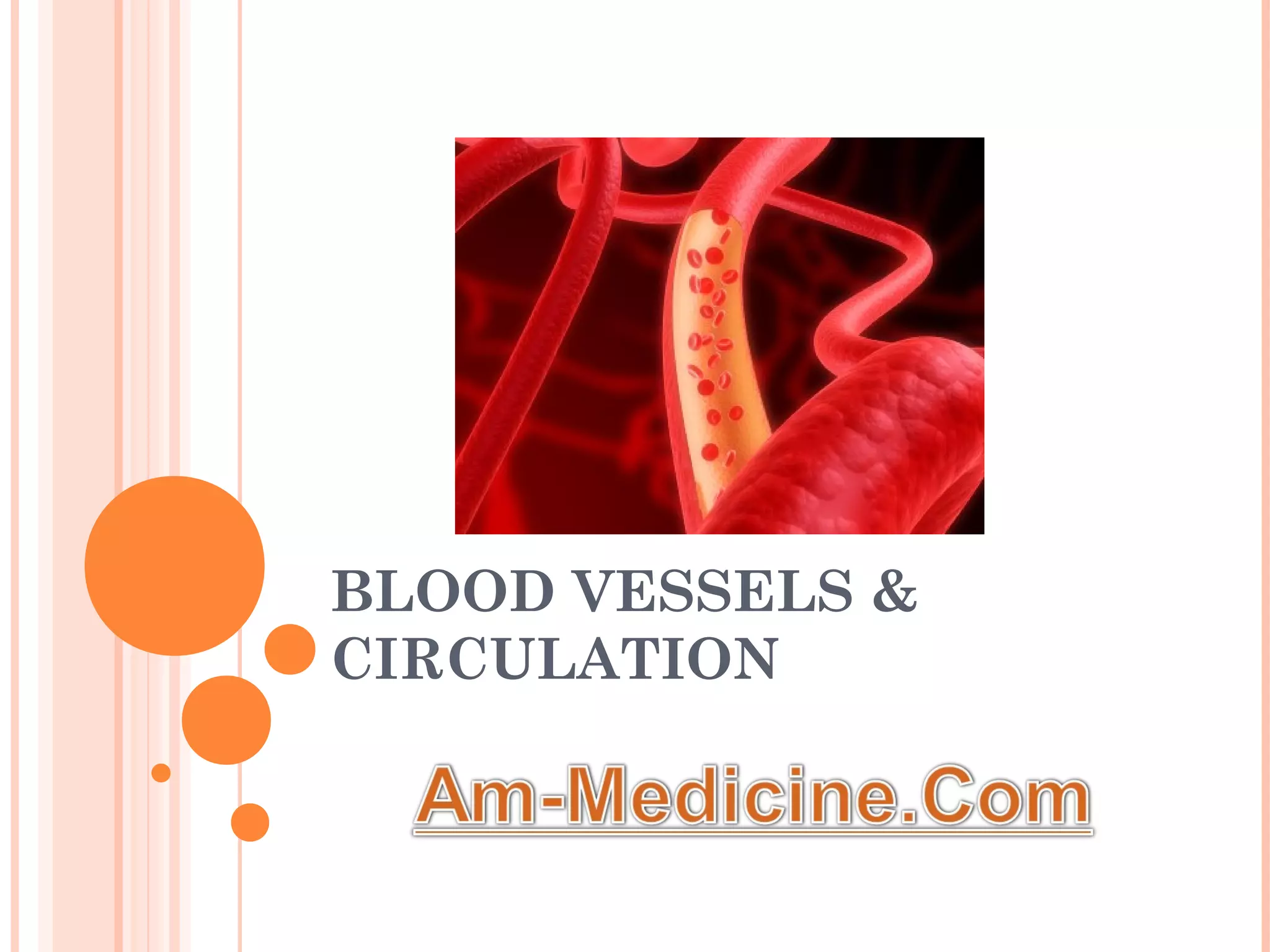 Anatomy & Physiology Lecture Notes - Blood vessels & circulation | PPT
