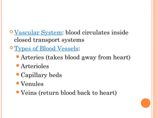 Anatomy & Physiology Lecture Notes - Blood vessels & circulation | PPT