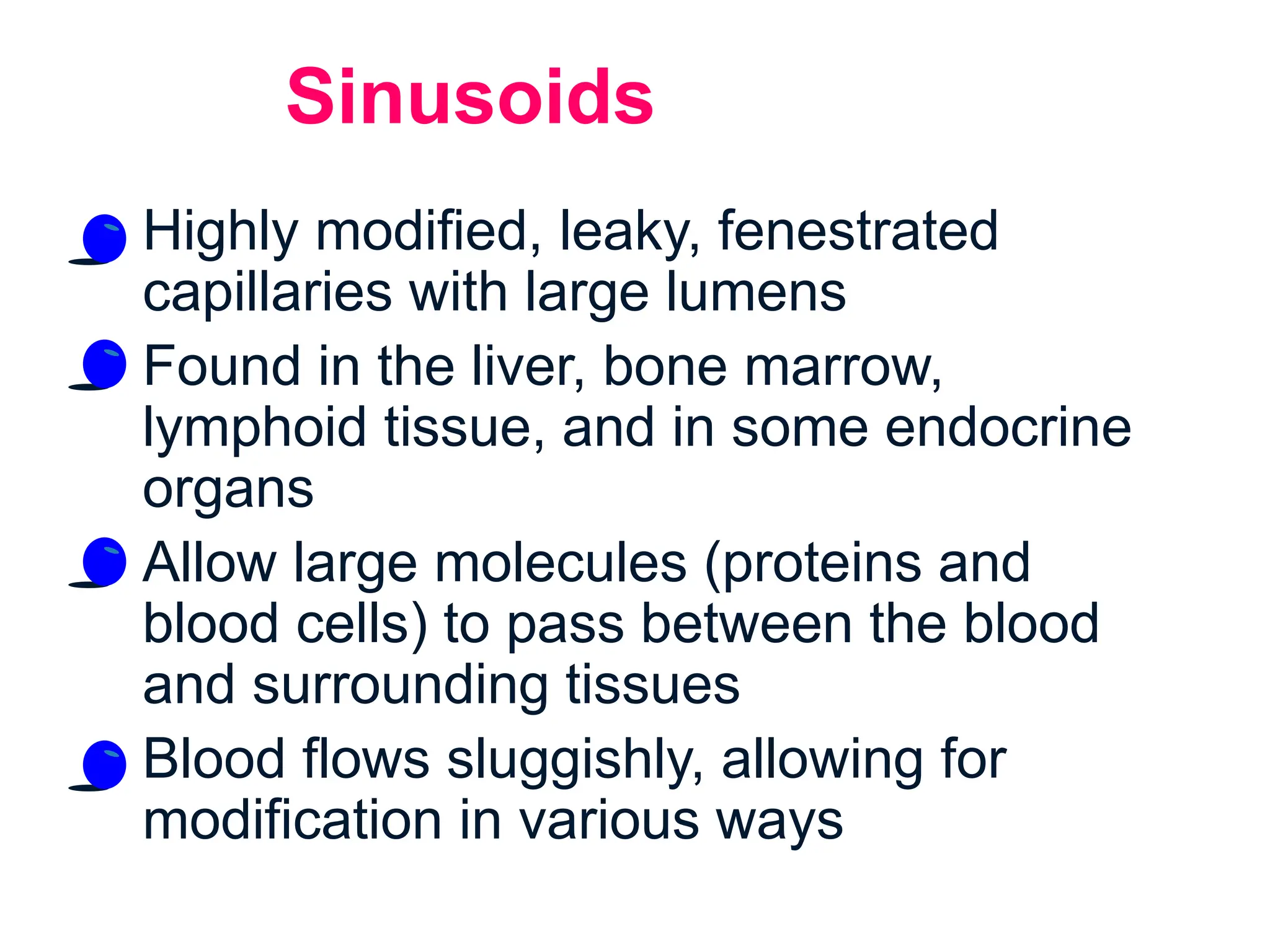 Human Blood Vessels Anatomy Review pptxs | PPT