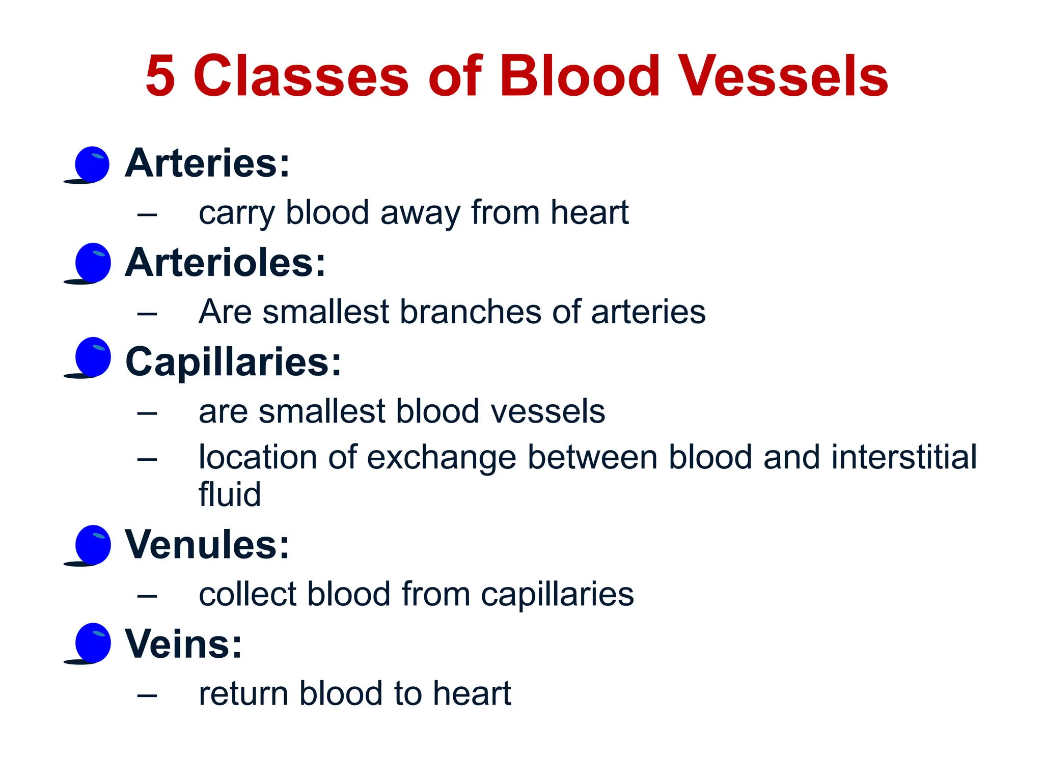 Human Blood Vessels Anatomy Review pptxs | PPT