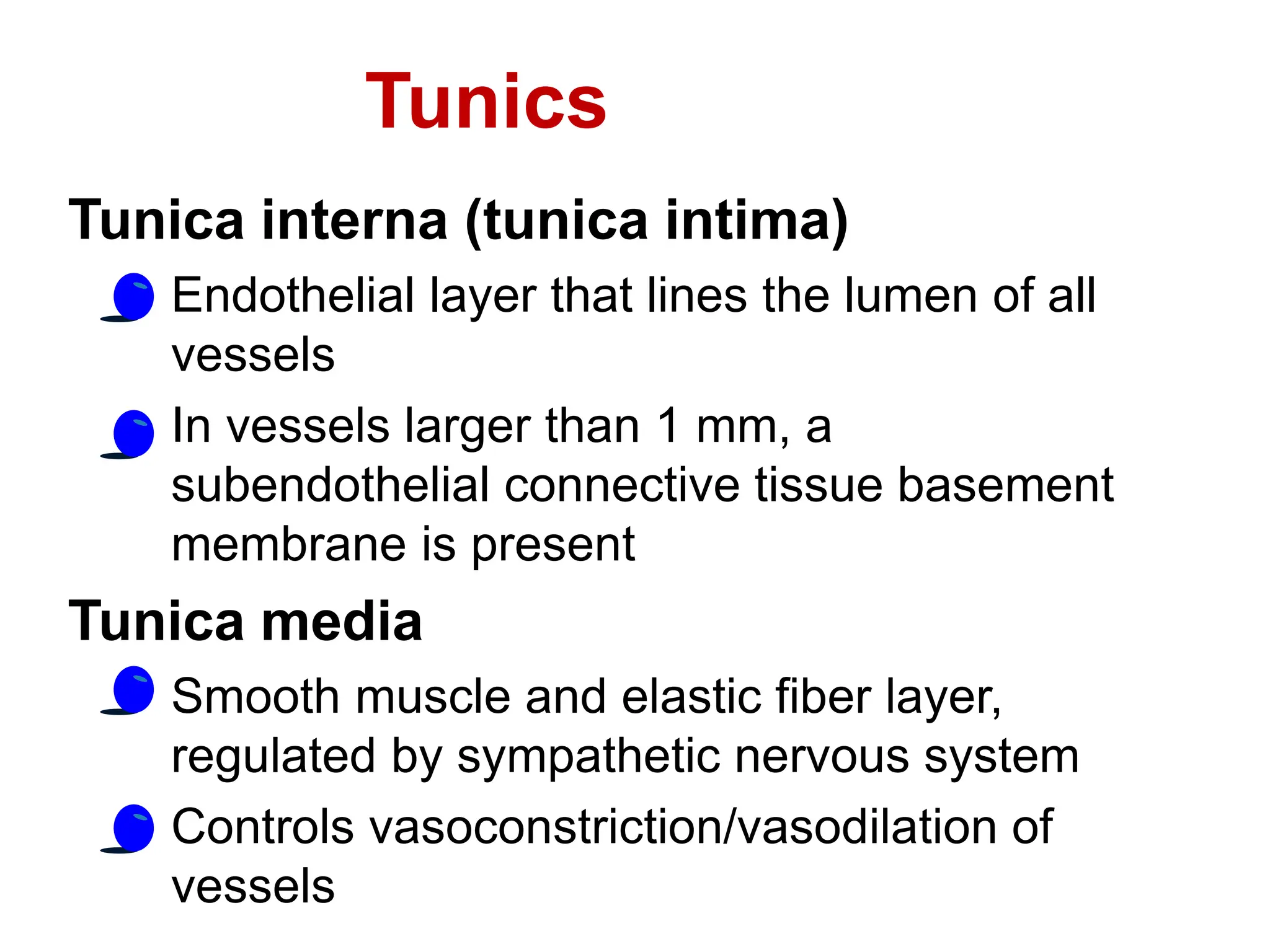 Human Blood Vessels Anatomy Review pptxs | PPT