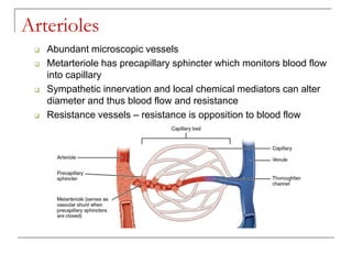 Blood Vessels general anatomy | PPT