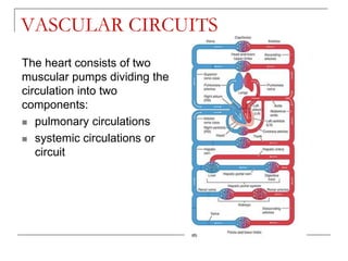 Blood Vessels general anatomy | PPT